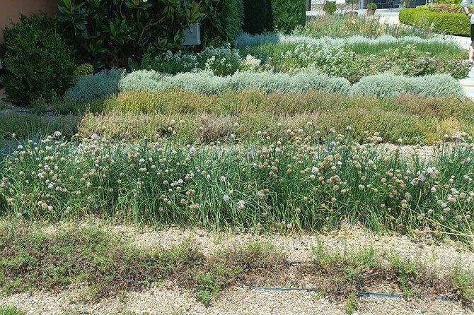 Wine Tasting Experience From Thessaloniki - About Your Stay