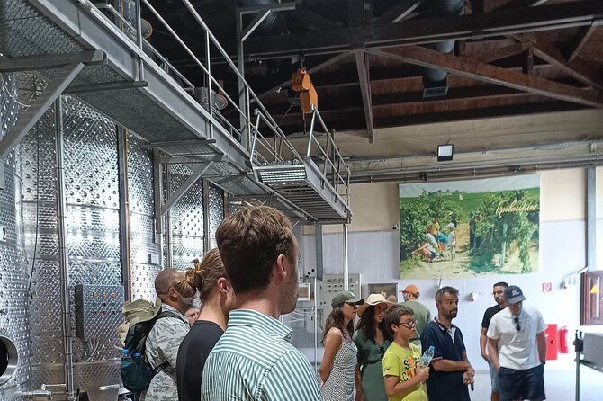 Wine Tasting Experience From Thessaloniki - The Art of Wine Tasting: What You Will Learn