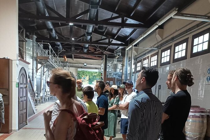 Wine Tasting Experience From Thessaloniki - Meeting Point Details: Starting the Journey