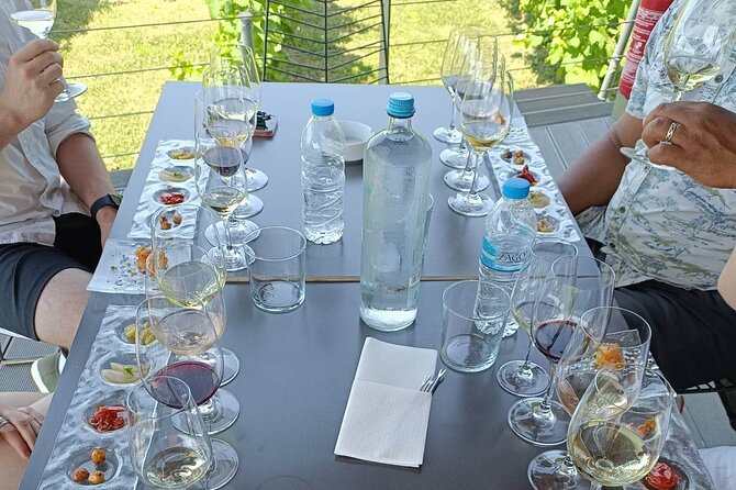 Wine Tasting Experience From Thessaloniki - Health and Accessibility Considerations