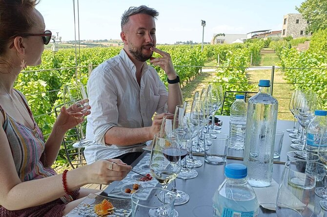 Wine Tasting Experience From Thessaloniki - Insights From Traveler Reviews