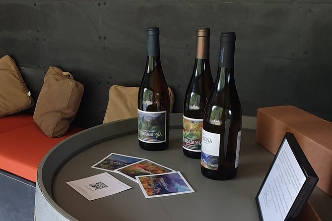 Wine Tasting Experience in Boaventura, Madeira North Coast - Exploring the Vineyards and Winery