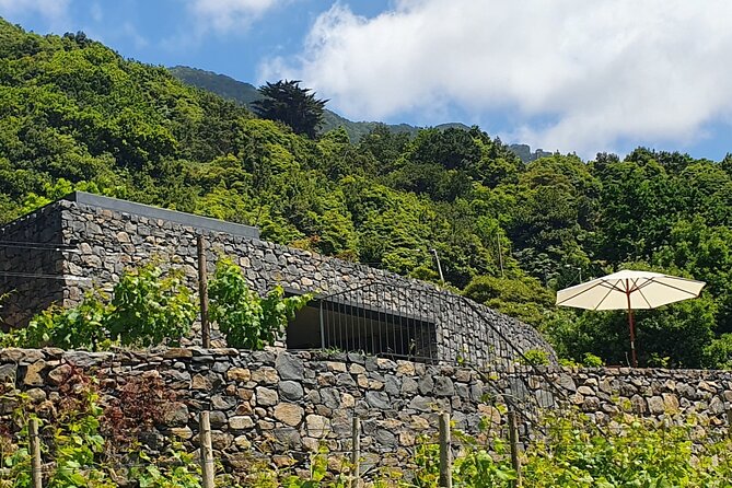 Wine Tasting Experience in Boaventura, Madeira North Coast - Guest Feedback and Responses