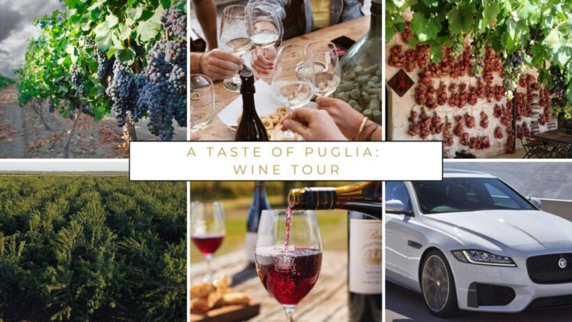 Wine tasting experience in the Apulian countryside! - An Overview of the Apulian Wine Experience