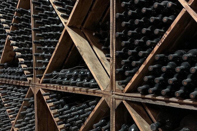 Wine Tasting Experience in the Apulian Countryside - Pairing the Wines With Local Delicacies