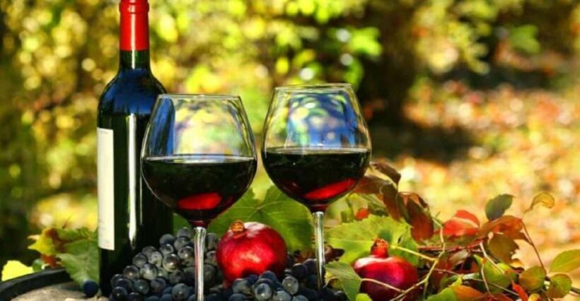 Wine Tasting Experience on the slopes of Vesuvius - A Closer Look at the Experience
