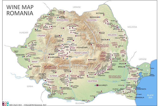 Wine Tasting in Bucharest Long Version - The Perfect Pairings: Cheese and More