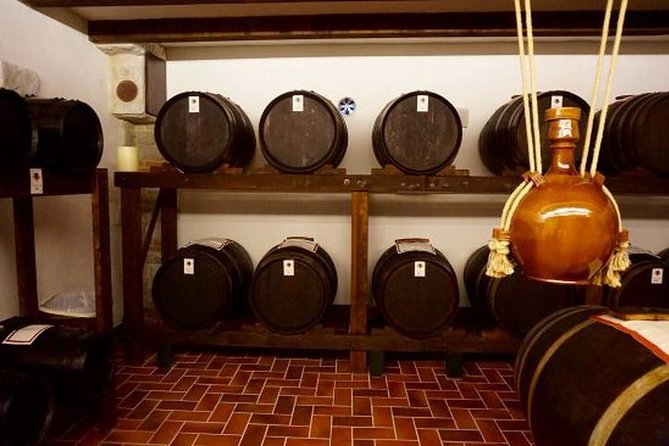 Wine tasting in Chianti, visiting Castellina, in Tuscany from Rome - Who Will Love This Tour?