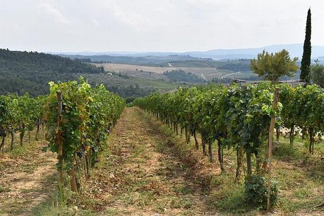 Wine tasting in Chianti, visiting Castellina, in Tuscany from Rome - FAQ