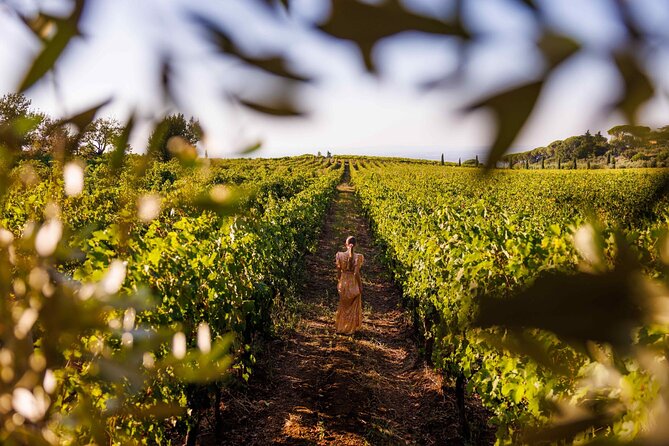 Wine Tasting in Frascati From Rome - Guest Reviews and Ratings