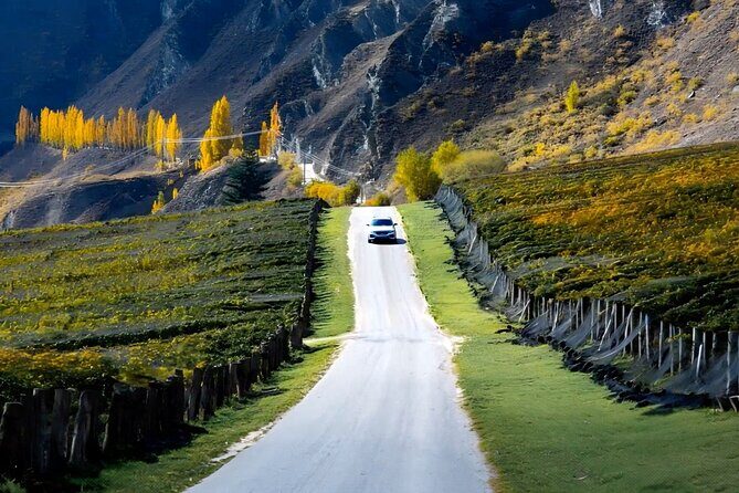 Wine Tasting in Gibbston Self Guided Audio Tour - Key Points