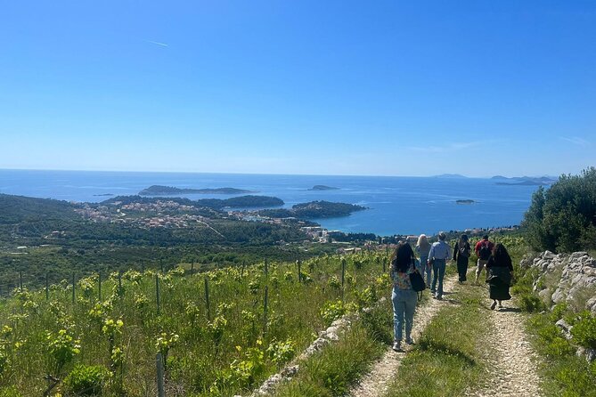 Wine Tasting in Konavle, Near Dubrovnik & Cavtat  Join Us! - Real Traveler Insights