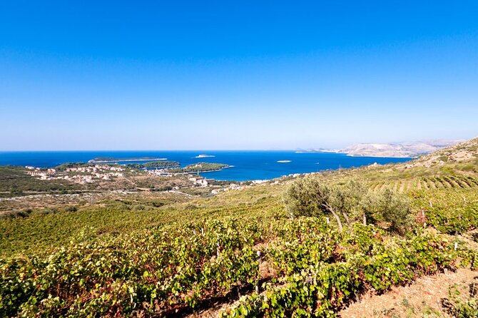 Wine Tasting in Konavle, Near Dubrovnik & Cavtat  Join Us! - Why This Tour Offers Good Value