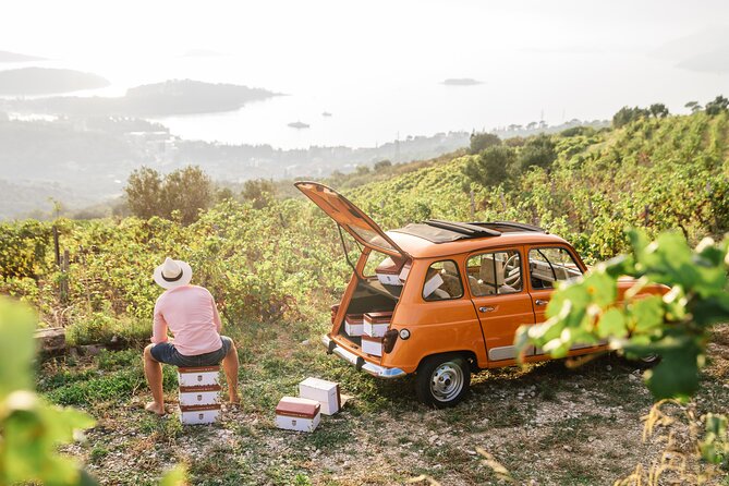 Wine Tasting in Konavle, Near Dubrovnik & Cavtat  Join Us! - Who Should Consider This Tour?