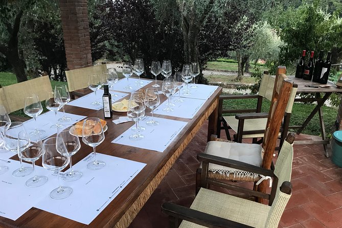Wine tasting in Lucca with sommelier - The great wines of Tuscany - Key Points