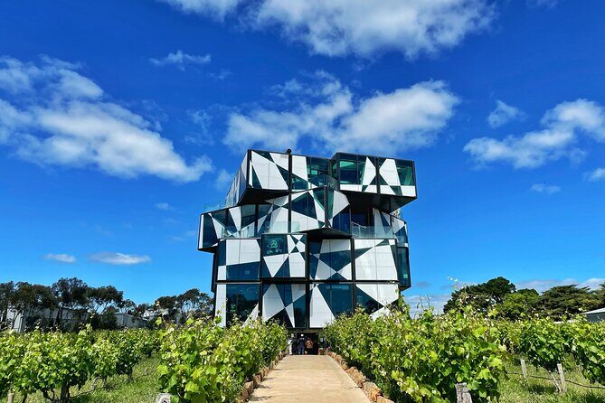 Wine Tasting in McLaren Vale - Key Points