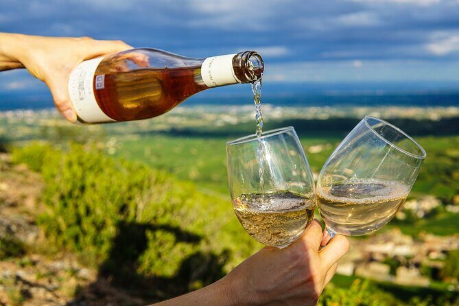 Wine Tasting in McLaren Vale - An In-Depth Look at the McLaren Vale Wine Tour