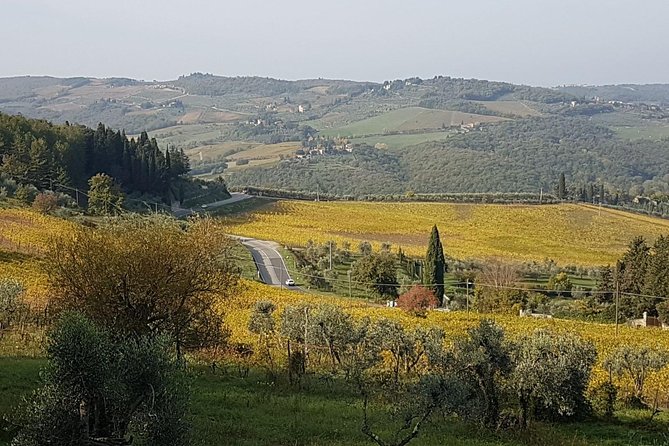 Wine tasting in Montepulciano and visit to Pienza, in Tuscany from Rome - Frequently Asked Questions