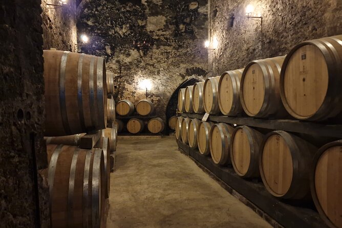 Wine Tasting in Montepulciano with Visit to the Vineyards Private Tour - The Sum Up