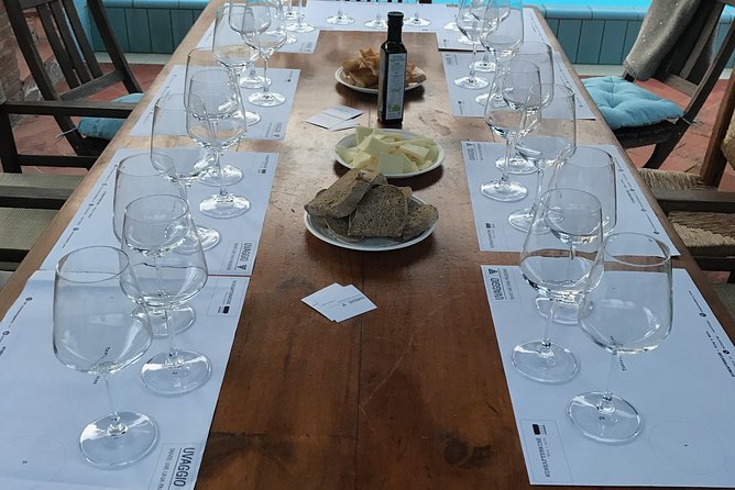 Wine tasting in Pisa with sommelier - The great wines of Tuscany - Who Will Love This Experience?
