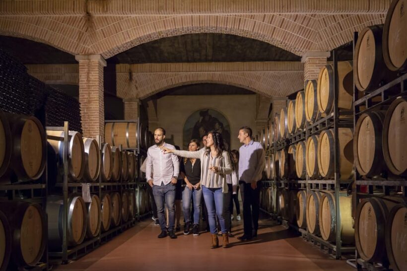 Wine tasting in the best winery in Spain from Alicante - Key Points