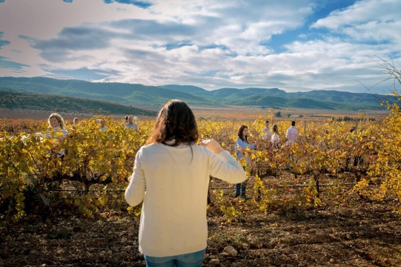 Wine tasting in the best winery in Spain from Alicante - An authentic journey into Alicante’s wine world