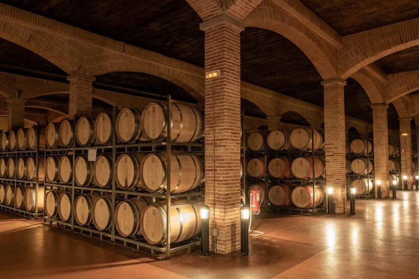 Wine tasting in the best winery in Spain from Alicante - What you’ll experience day-by-day