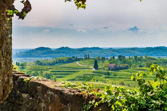 Wine tasting in the Collio wine area, guided tour of Cividale. - Transition to the Hills of Collio