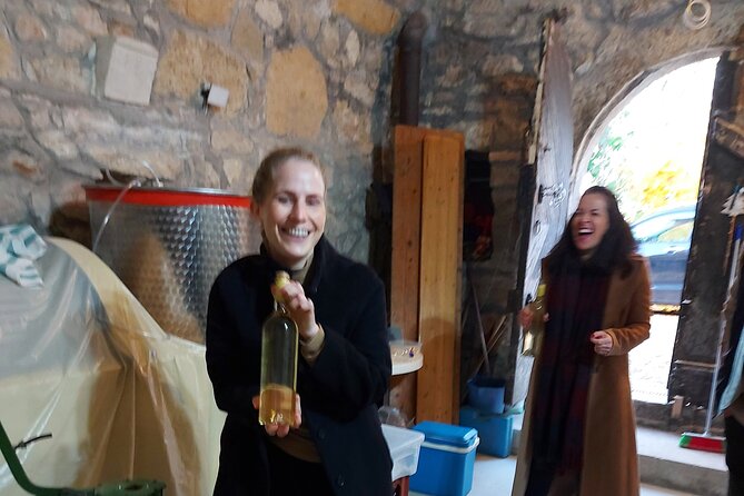 Wine Tasting in the Countryside from Budapest - Value for Money