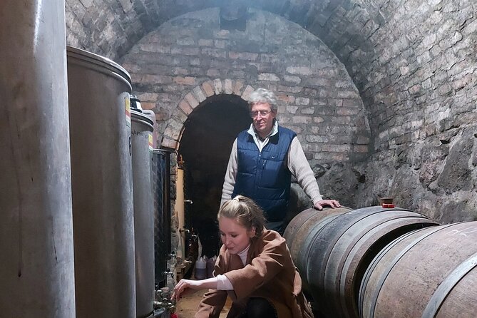 Wine Tasting in the Countryside from Budapest - Practical Considerations