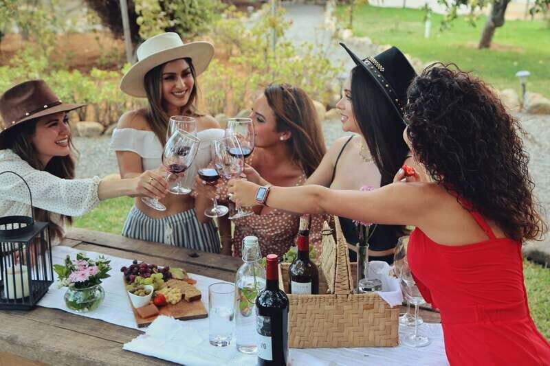 Wine Tasting in the Gardens at Rondo del Valle with vineyard - What to Expect: A Step-by-Step Breakdown