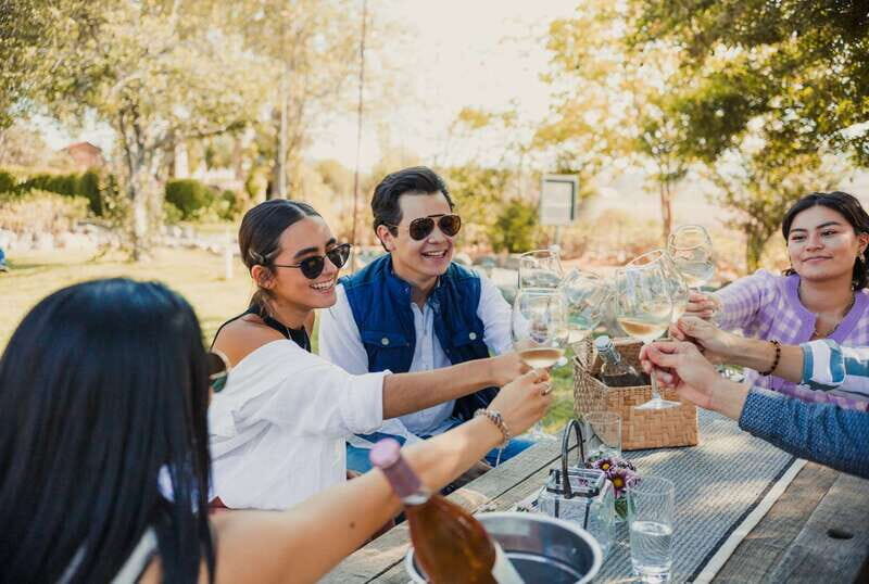 Wine Tasting in the Gardens at Rondo del Valle with vineyard - Who Will Enjoy This Tour?