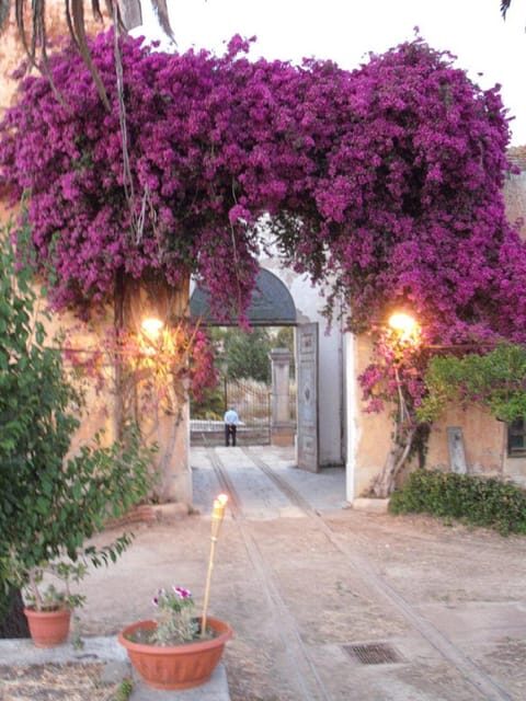 Wine Tasting in the historic baglio Florio Adamo - Key Points