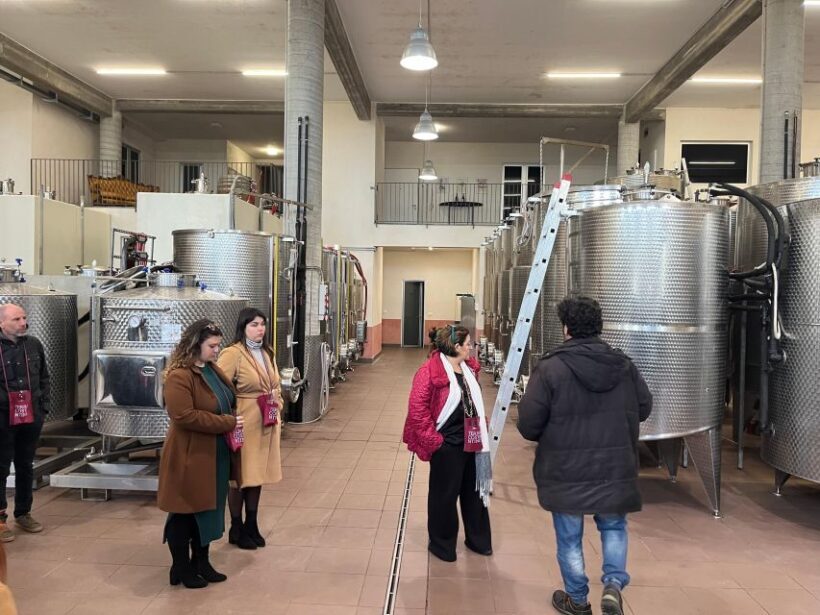 Wine Tasting in the South Slope of Etna - Key Points