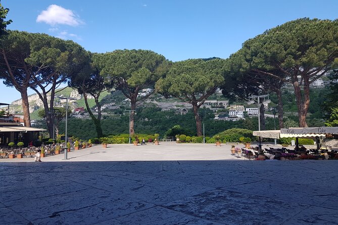 Wine tasting in the Vesuvius National Park - Who Should Consider This Tour?