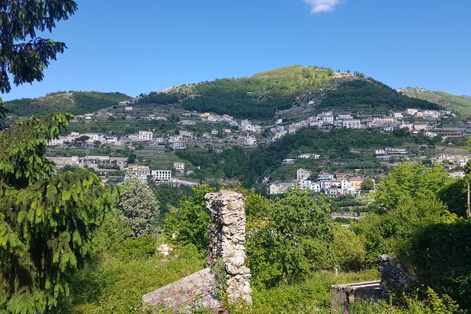 Wine tasting in the Vesuvius National Park - FAQ