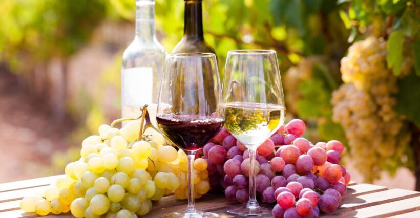 Wine tasting in the Vesuvius National Park - Exploring the Wine Tasting Experience in Vesuvius National Park