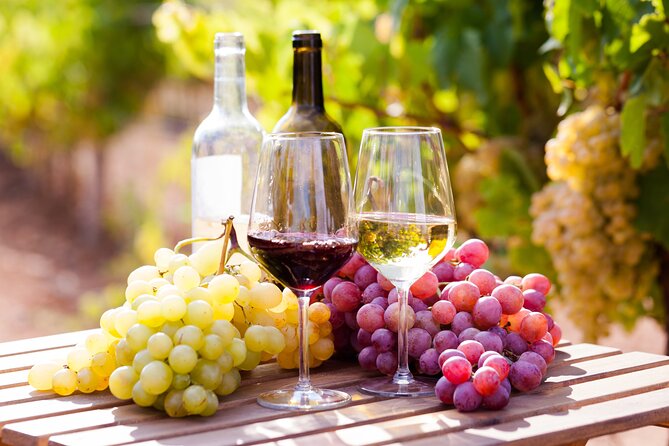 Wine tasting in the Vesuvius national park - Key Points