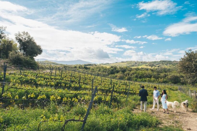 Wine Tasting in Toscana with Priority Access - FAQs