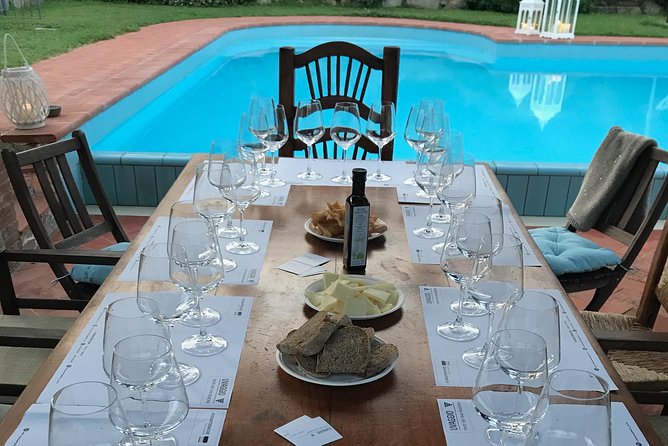 Wine tasting in Versilia with sommelier - 5 wines and local products - Practical Details