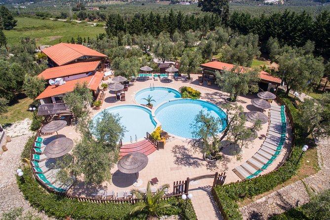 Wine Tasting in Vieste - Customer Reviews and Feedback