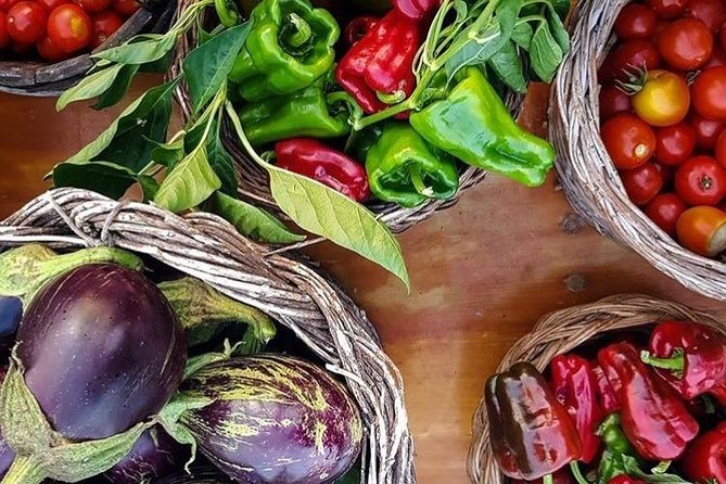 Wine Tasting in Vieste - Booking Information