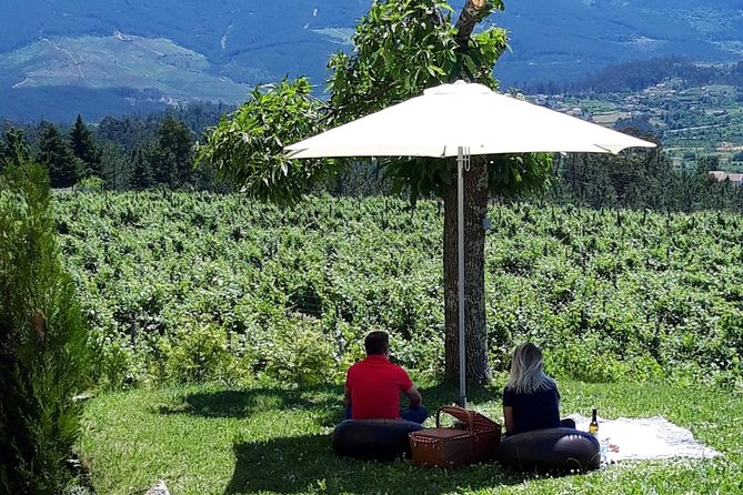 Wine Tasting & Lunch from Porto | Quinta de Santa Cristina - The Itinerary: What to Expect from Start to Finish
