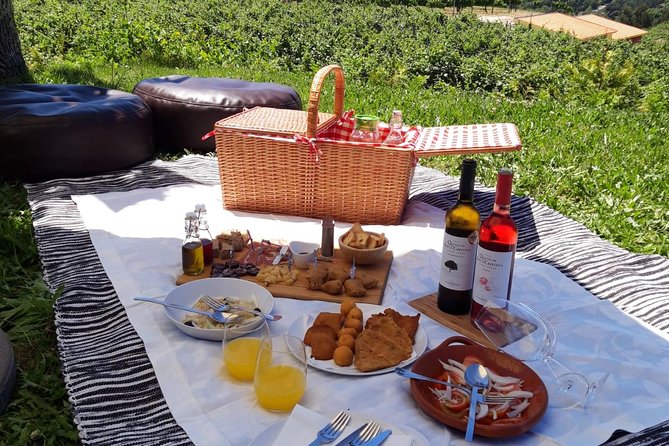 Wine Tasting & Lunch from Porto | Quinta de Santa Cristina - The Sum Up