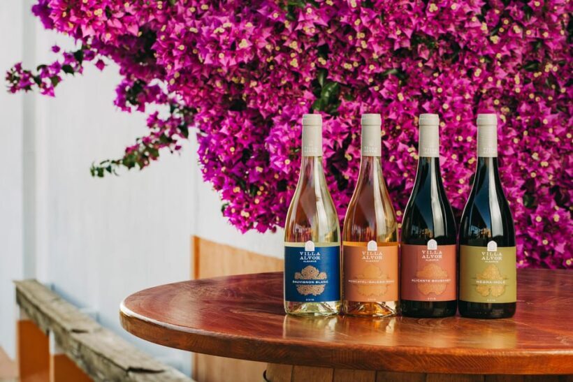 Wine Tasting Off-Road Tour - Who Is This Tour Best For?