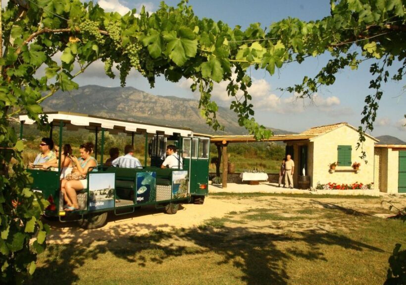 Wine tasting on Peninsula Peljeac wine tour from Dubrovnik - FAQs