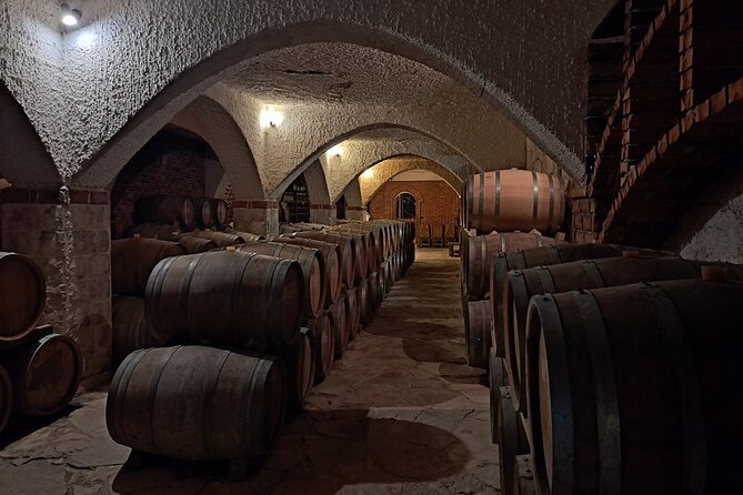 Wine Tasting Private Day Tour: From Dubrovnik to Peljesac - Ston: A Historical Stop