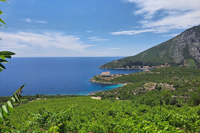 Wine Tasting Private Day Tour: From Dubrovnik to Peljesac - Snack Options and Pairings