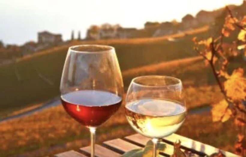 Wine Tasting - Private Half-Day Tour - Price and Value Analysis