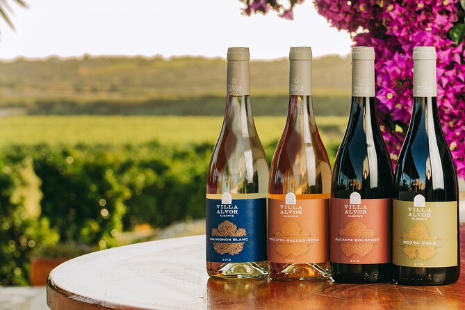 Wine Tasting & Tapas 4x4 Tours - Key Points